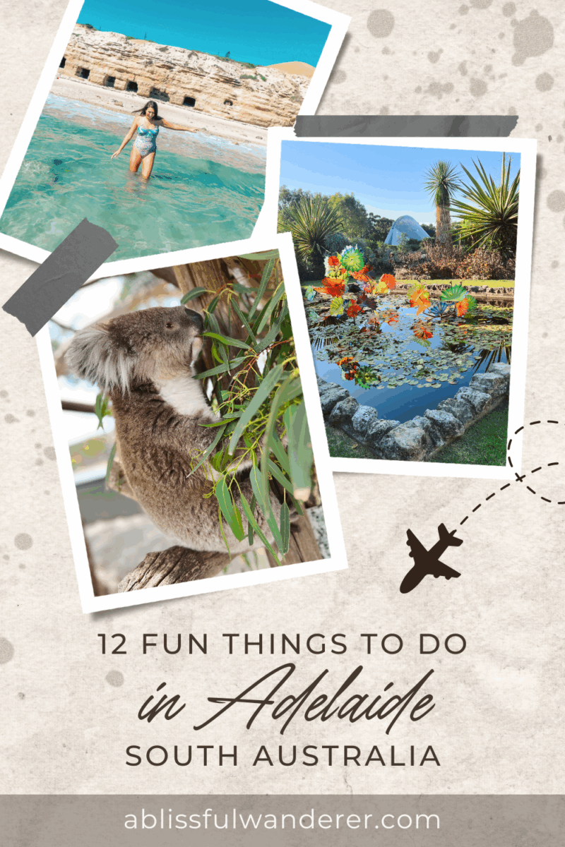 12 Fun Things to Do in Adelaide: Beaches, Food & Unique Local ...
